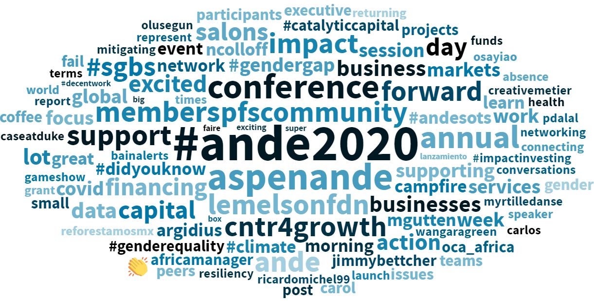 Looking Back on the 2020 Annual Conference - ANDE
